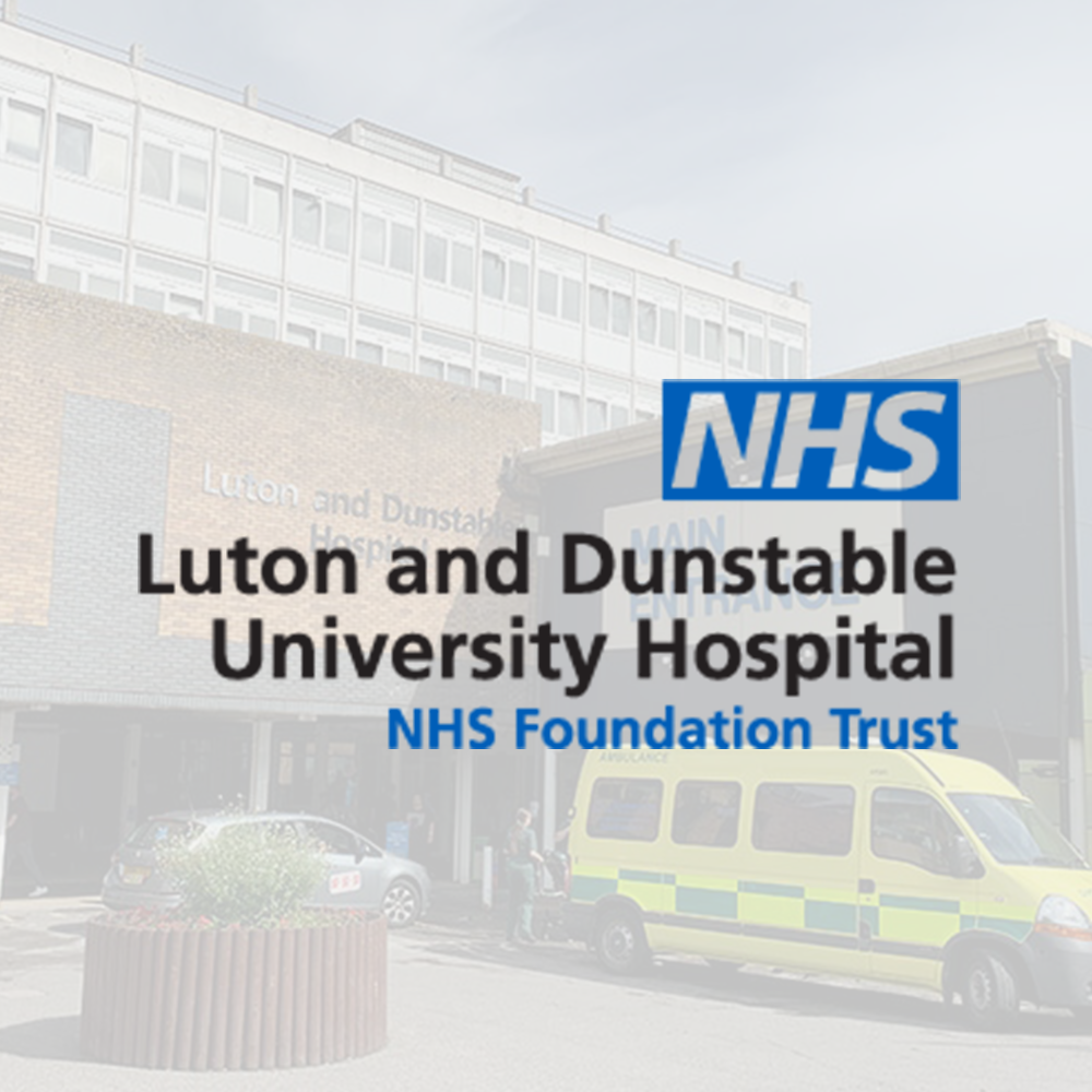 Case Studies | Ventro Group